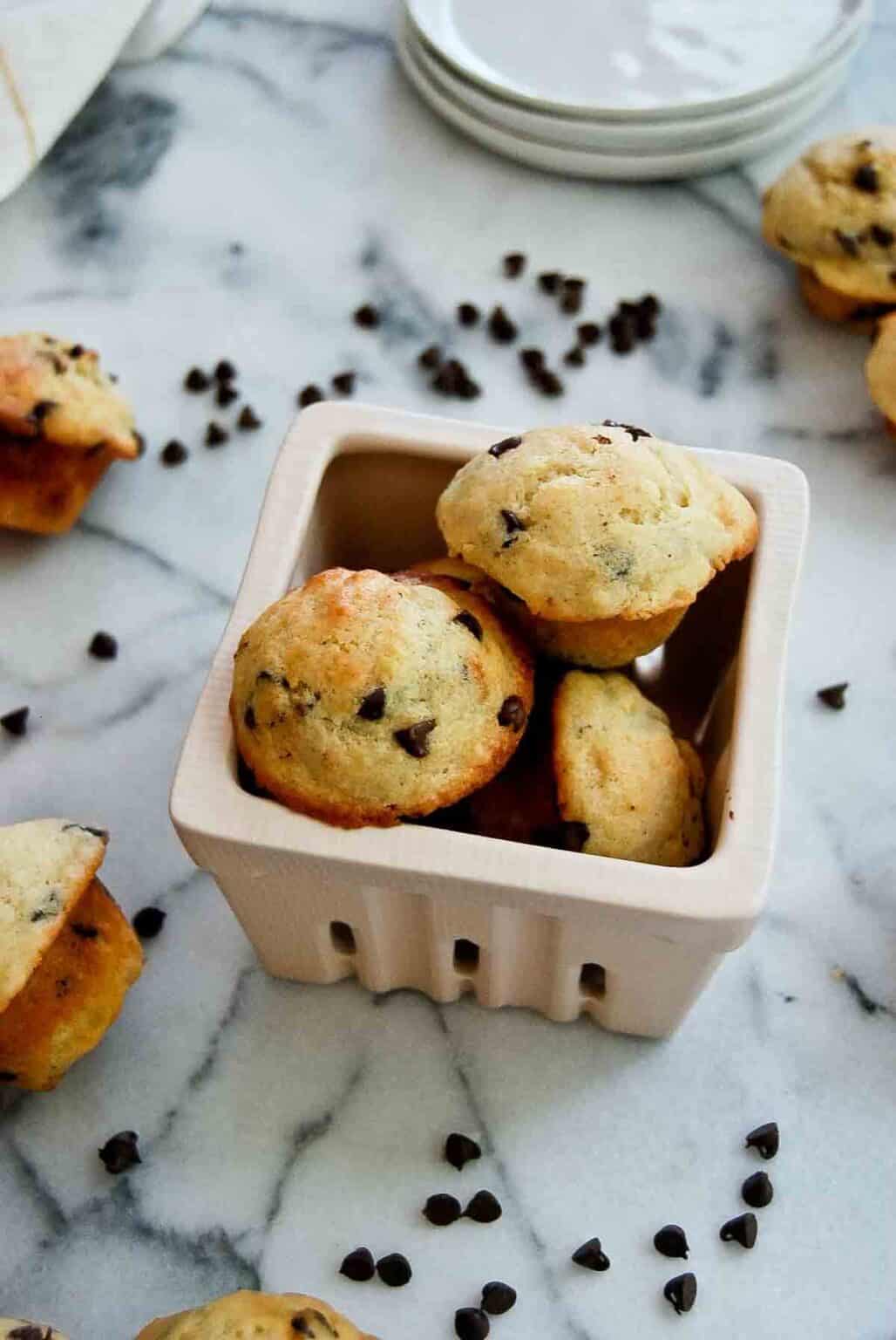 Moist Chocolate Chip Mini Muffins With Yogurt | Front Range Fed