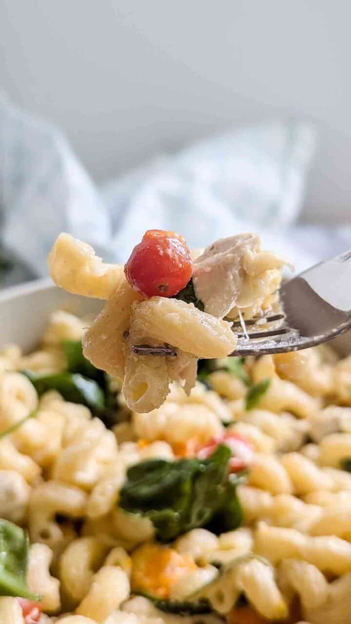 Creamy Boursin Cheese Pasta Recipe With Chicken | Front Range Fed
