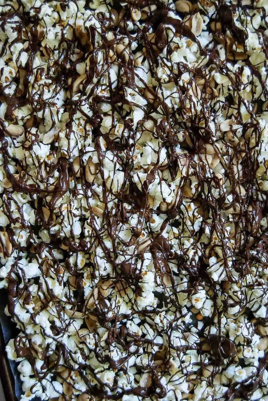 Easy Dark Chocolate Drizzled Popcorn With Peanuts | Front Range Fed